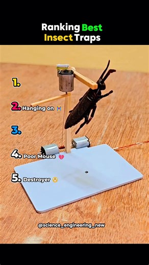 Ranking Best Insect Traps Moments 😱💀