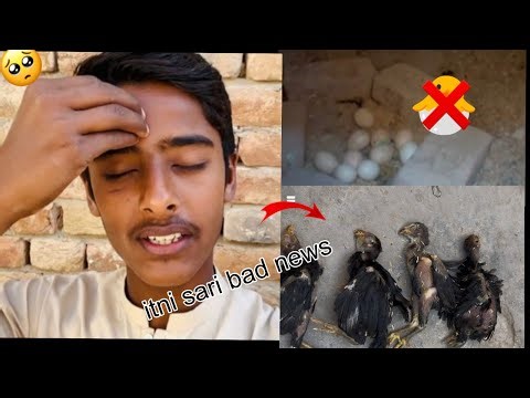 Itni sari sad 😔 news. #hamara setup#vlog.