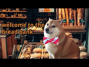 Welcome to the bread bank | Welcome To The Bread Bank