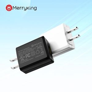 [Hot Item] 5V 500mA Adapter EU Plug Mobile Phone Charger with USB Cable