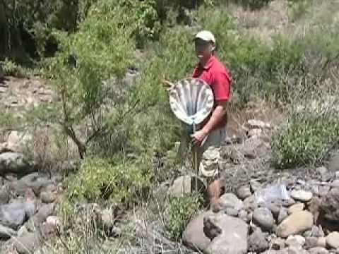 Aerial & Sweep Netting