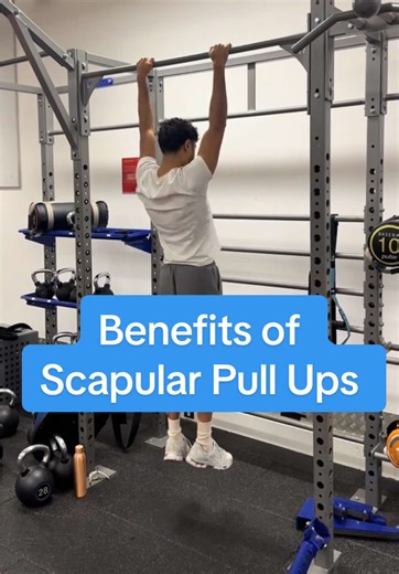 Scapular pull-ups build strong, stable shoulders and teach proper pulling mechanics - the foundation of pain-free pull-ups. Follow for more functional training tips 💪 #scapularpullup #functionaltraining #longevitycoach #pullupprogression #fitnesstips