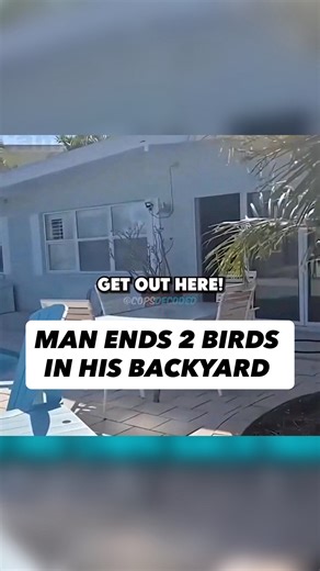 probingcops on Instagram: "follow @justbodycams for more body cam footage 🚨 Police departments use body cameras because they record everything exactly as it happens — traffic stops, arrests, arguments, mistakes, and moments where things escalate fast. Without them, most cases turn into one person’s word against another, and critical details get lost or twisted. A body cam forces every interaction to have a timestamp, an angle, and a record that can’t be rewritten later. They’re also used to pro