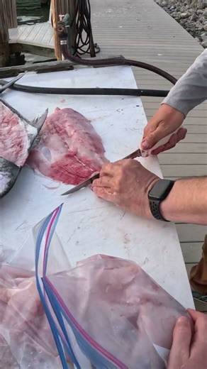 MASSIVE African Pompano Catch & Cook!!