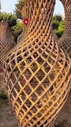 🌸 Crape Myrtle – The King of Garden Beauty! 👑 | Decorative Tree Shapes Explained