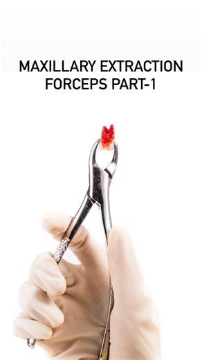 Preeti Saini on Instagram: "MAXILLARY EXTRACTION FORCEPS PART-1 ✨✨PRINCIPLE--- Using controlled, specific forces(buccal-lingual), rotational, apical traction) to expand the alveolar bone and luxate the tooth, rather than just pulling. ✨✨In this video----- 1. Maxillary Anterior Forceps •straight •narrow blade •No space between blades •used for extraction of maxillary anteriors(canine to canine) •same single forcep for both right and left upper quadrant 2. Maxillary Anterior Root Forceps •similar 