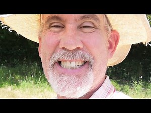 Use chicken wire tree guards