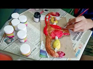 how to make female reproductive system model