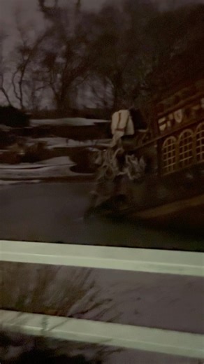 Rainy Winter Walk 🌧️❄️ Cape Cod | Binaural Audio for Sleep| Subscribe for more