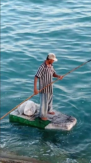 How to Catch cuttlefish || cuttlefish || Nature