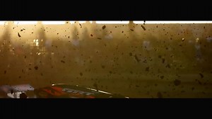 204K views · 375 shares | Click link to watch WE ARE DIRT The movie available now online at https://vimeo.com/ondemand/wearedirt Enjoy the film online and be sure and tell us in the comments section below what you want to see in WE ARE DIRT 2 OneDirt.com DiRT Dirt Track Racing Tony Stewart Kyle Larson Winged Nation Everything Dirt Track Racing #getoutanddirt #wearedirtmovie #dirtcomediahouse | DIRT CO MEDIA HOUSE | Facebook