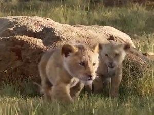 Join the group for marvel superheroes Movies https://www.facebook.com/groups/874809223979990 | Gilberto Nixon