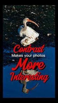 Here's how contrast helps photographers generate more interest in their photos
