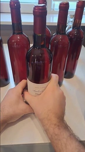 How to Make Wine at Home