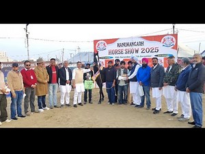 Hanumangarh horse show 2025 #The winning horse is number 1 through 8. 🏆 #usahorses #horse