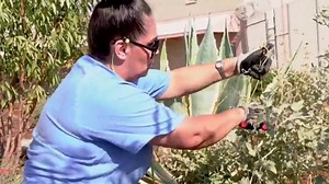 A look into California's efforts to shift prisons from punishment to rehabilitation