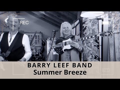 Summer Breeze (Seals and Crofts) cover by the Barry Leef Band