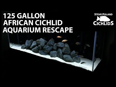 125 Gallon African Cichlid Aquarium Rescape