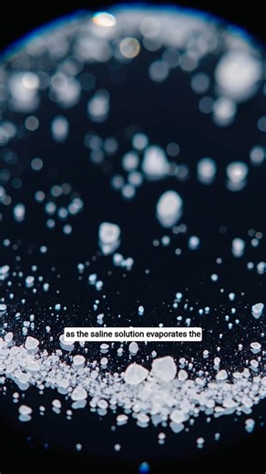 Salt Crystals Under Microscope Perfect Cubes viral shorts video