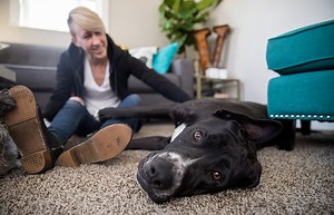 10 creative ways to promote your foster pet