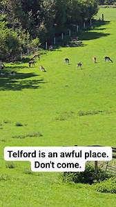 161K views · 998 reactions | Telford is an awful place. Don't come. #telford #Lawley | TelfordLive | Facebook