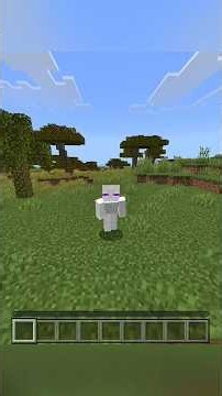 Minecraft Myths: DEBUNKED. #Minecraft
