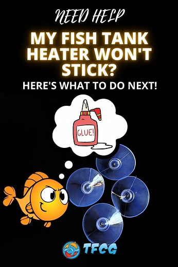 Why Your Fish Tank Heater Suction Cups Won’t Stick Or Stay On & How You Can Rejuvenate Them. | TFCG