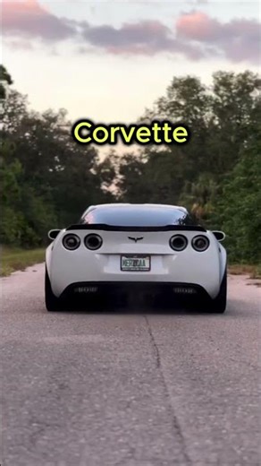 You’re Wrong About This Corvette V8 vs Viper V10 Sound Battle