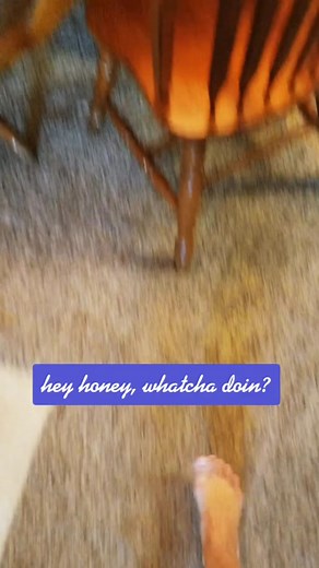 The Fuel of Our Jokes: Java Scripting and Dad Jokes