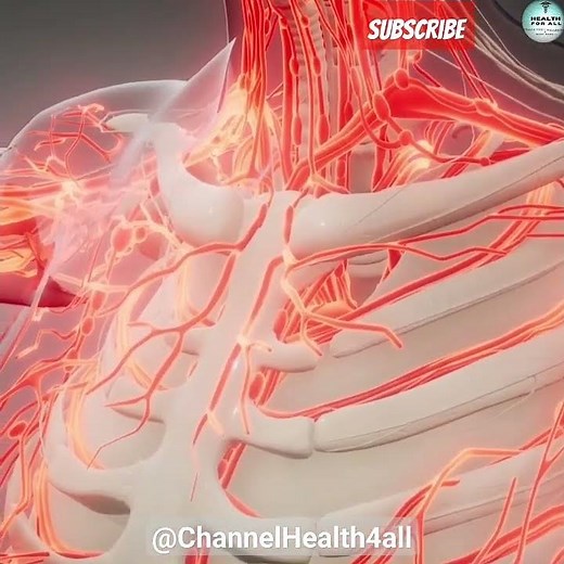 Lymphatic system of human body | how your lymphatic system works |what is your lymphatic system