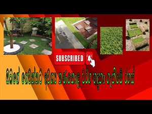 ඔබගේ ගෙවත්තට අවශ්‍ය තණකොළ වර්ග හදුනා ගැනීමේ රහස් .Secrets to identifying the grass types .