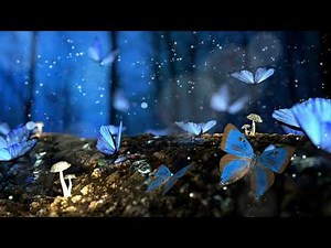 Beautiful butterfly magical moments - Live background - Animated background wallpapers loops videos
