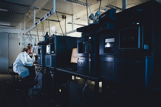 ChatGPT RIsks and Alternatives | IBM