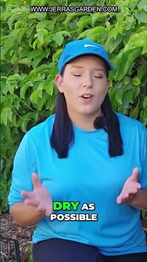 Hydrogen Peroxide: Save Your Plants!