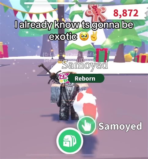 Omg the neon is so cute 😻🙌 #notcuteanymore #adoptme #samoyed #neon #cute