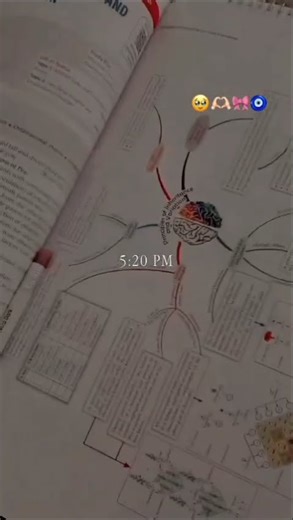 Yakeen Batch & Full Focus: Morning Study Session 📚🔥