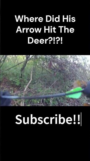 Reading the Arrow: What It Tells Us About the Hit | Deer Tracking Dog in Action