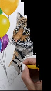 Colored pencil drawing of a tiger cub with balloons | Jasmina Susak