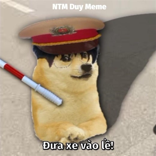 Right turn signal star (Cre: Meta_anisLoxg7) #memes #animation #funny #cheems #doge #shorts #viral