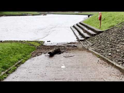 Foundations - Film Studies AS