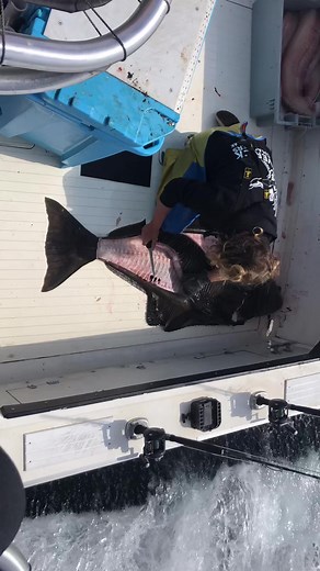 @captainfaithandthesea shows us how to fillet a large alaskan halibut! #SeeHerGreatness #fisherwoman #halibut #fishing #WomenOwnedBusiness #strongwomen #halibutfishing #fisherbabe #homer #alaska #alaskan #fyp #fypシ #foryou #captain #badassbabes #womanpower #grundens #guycotten #xtrapper @Victorinox