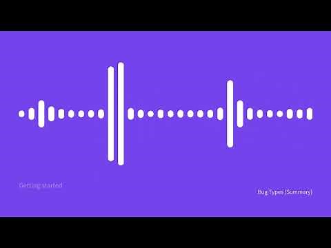 Bug Types - Summary