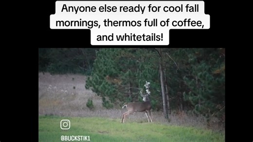 BuckBranch by BuckStik. All in one Licking Branch, Rubbing Post, and Mock Scrape System. Sets up in seconds with no tools needed and includes a 3 pack of Pure Gland Secretions. Start communicating with your herd today. Learn more at BuckStik.com #BuckBranch #BuckStik #LickingBranch #MockScrape #Outdoors #deer #whitetail #deerglandlure #glandcommunication | BuckStik | Facebook