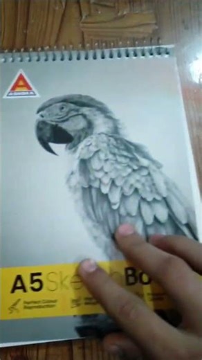 Pidgey drawing 16/1025 drawing every Pokemon #shorts #series #drawing #pokemon #art #trending