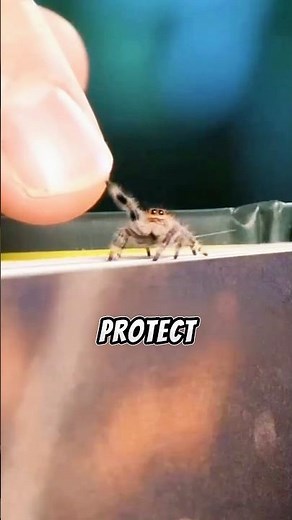 Your House Needs These Creepy Bugs🤯 #shorts