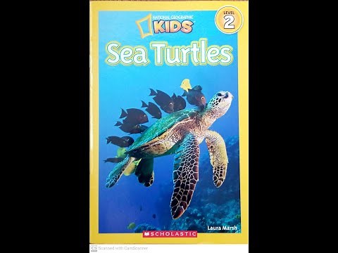 Read Aloud- Sea Turtles by Laura Marsh | Nonfiction Animals
