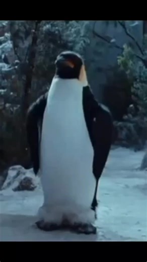 Mr bully penguin beat up apple blossom and alpha Lexa #meetthespartans #penguin #dudelyawesome #alexgodzillaappleblosso1iscringe @superlitmrstubborn&zoe @Ron p the Halloween emperor @gremlins and kaijus @Koopa troopa and friends @Shadow The Hedgehog @Smiling Critter Angel @Shaw and snotty boy and titan @superitMaximeleMal @Scar king @Evil Danny @Scarlet Tuyserder @NeedleMouse The God Hedgehog21 @mr marvelous @CEO the boss of koopa troopa @Owen & Friends20001 @Koopa troopa and friends