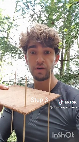 Catch Ground-Dwelling Insects: Pitfall Trap Method Revealed