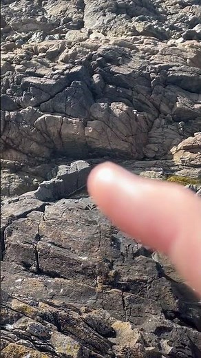 Dolerite dyke with columnar jointing