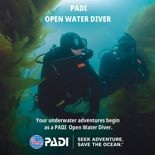PADI Open Water Diver Course